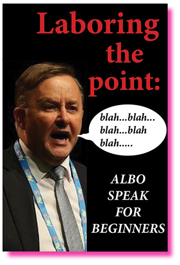 Albo speak for beginners – The Bug Online