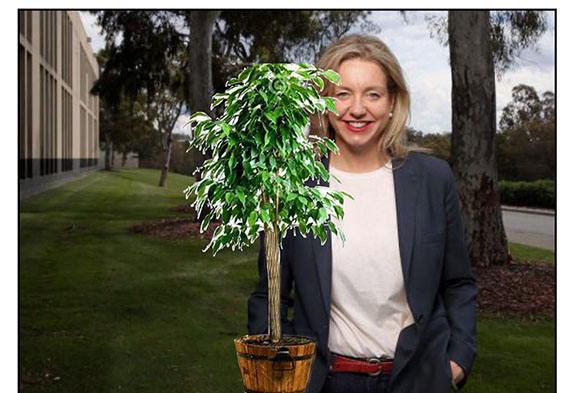 Bridget digs a fresh hole for herself – The Bug Online