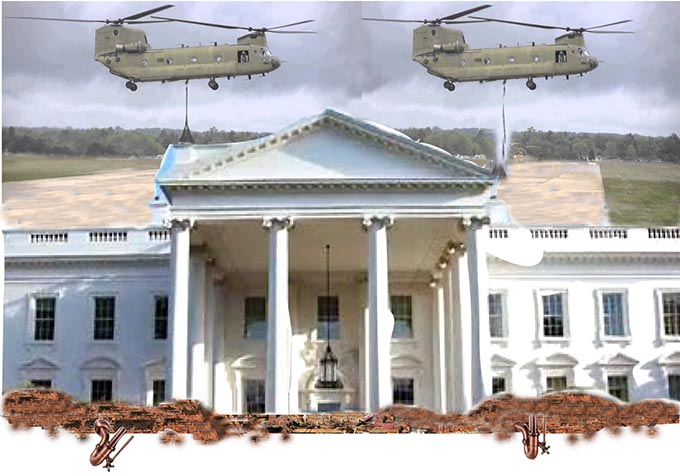 White House moved to Florida – The Bug Online