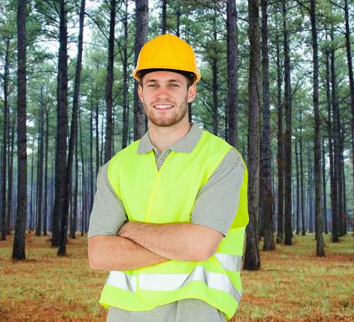 Peak group criticises timing – The Bug Online