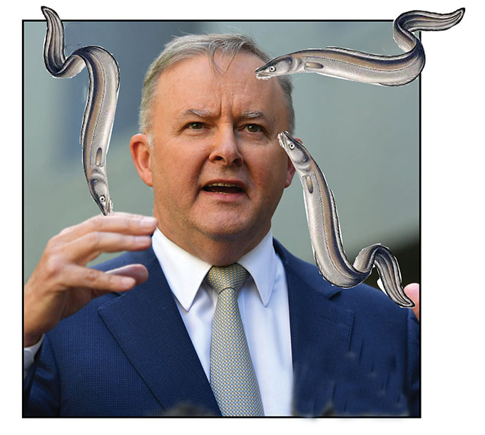 Albo slips in some practice – The Bug Online