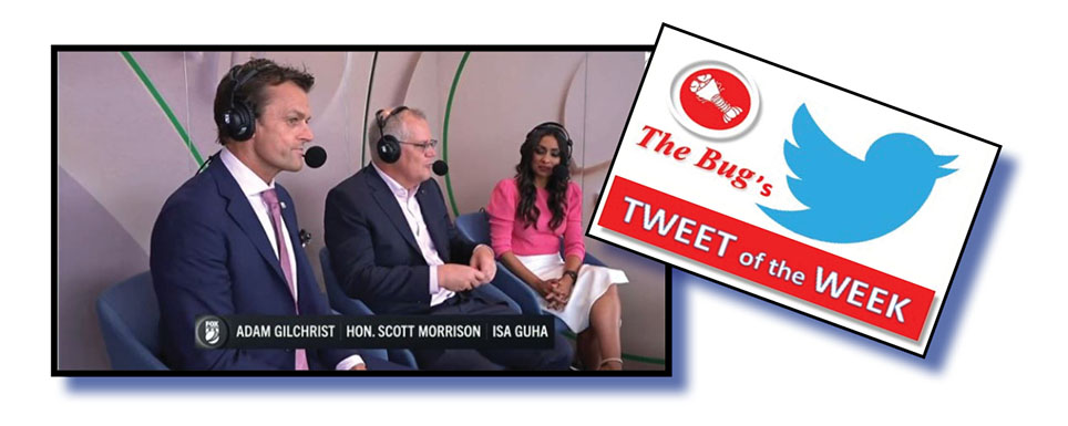 It’s simply not cricket – The Bug Online