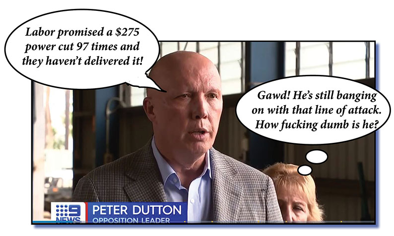 Is the Spud a dud…. – The Bug Online