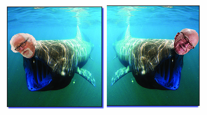 Exciting new marine discoveries! – The Bug Online