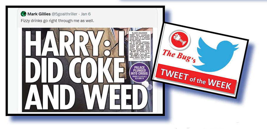 The trouble with Harry – The Bug Online