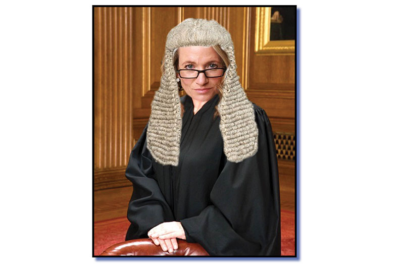 Senior judge faces questions – The Bug Online