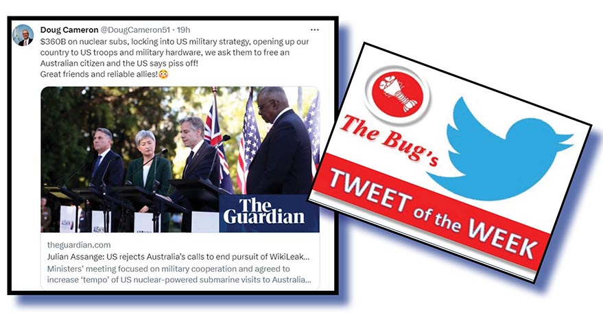 We’re so sorry for asking! – The Bug Online