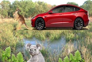 New Tesla hits the road – The Bug Online