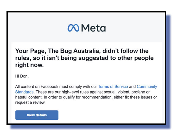 Bug back in Meta crapper! – The Bug Online